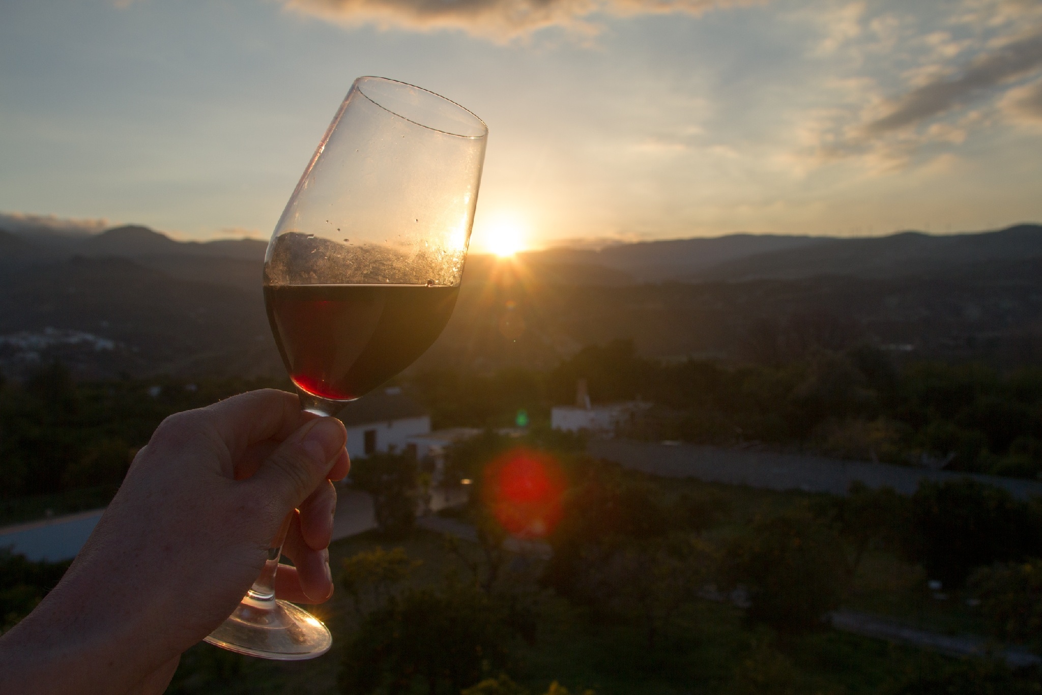 Why Cabernet Sauvignon Is Known as the King of All Wines?