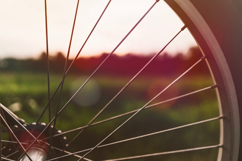 A Buyer's Guide to Bicycle Wheels | WordYrazzii